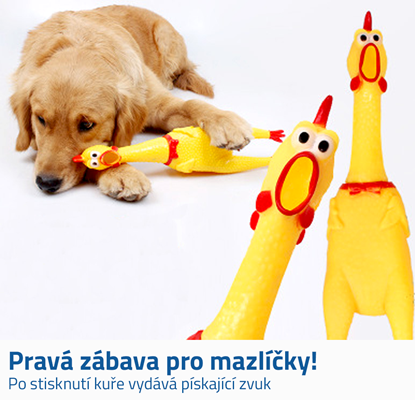 Dárky pro psy | Darky.cz